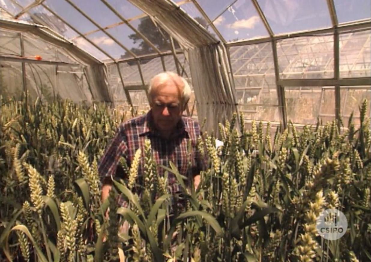 Csiro Medals 1997 Research Achievement Dr Jim Davidson Csiropedia